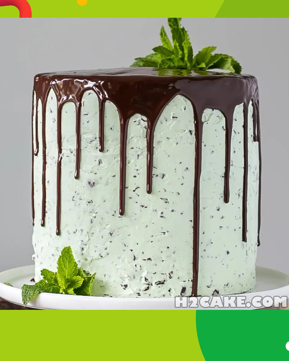 Crafting Delight With Chocolate Mint Cake - H2Cake